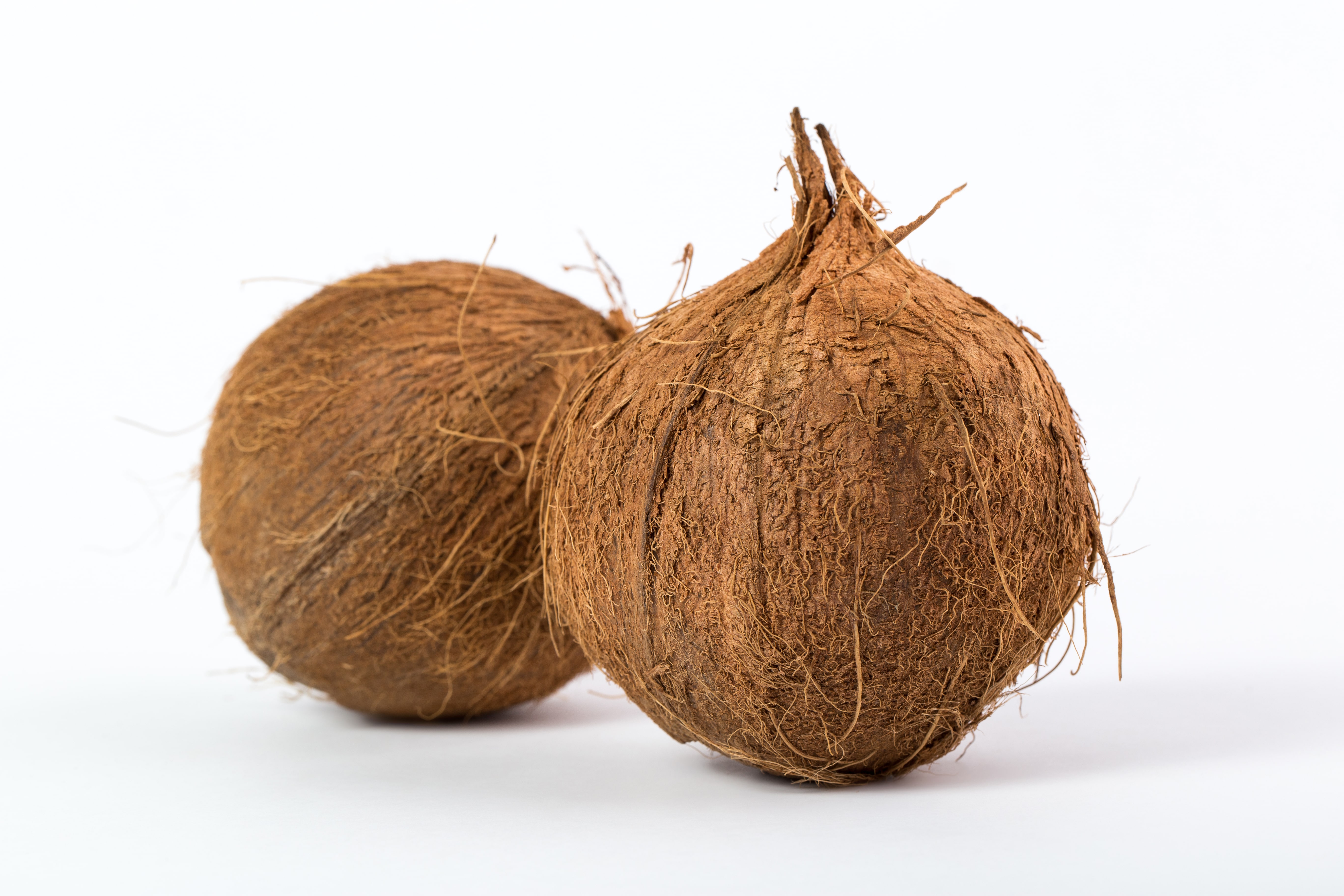 Palmnesia